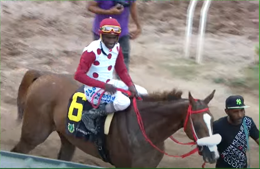 Provident Gets Home In Sat, June 21, 2025, 8th - Quickgallopja.com