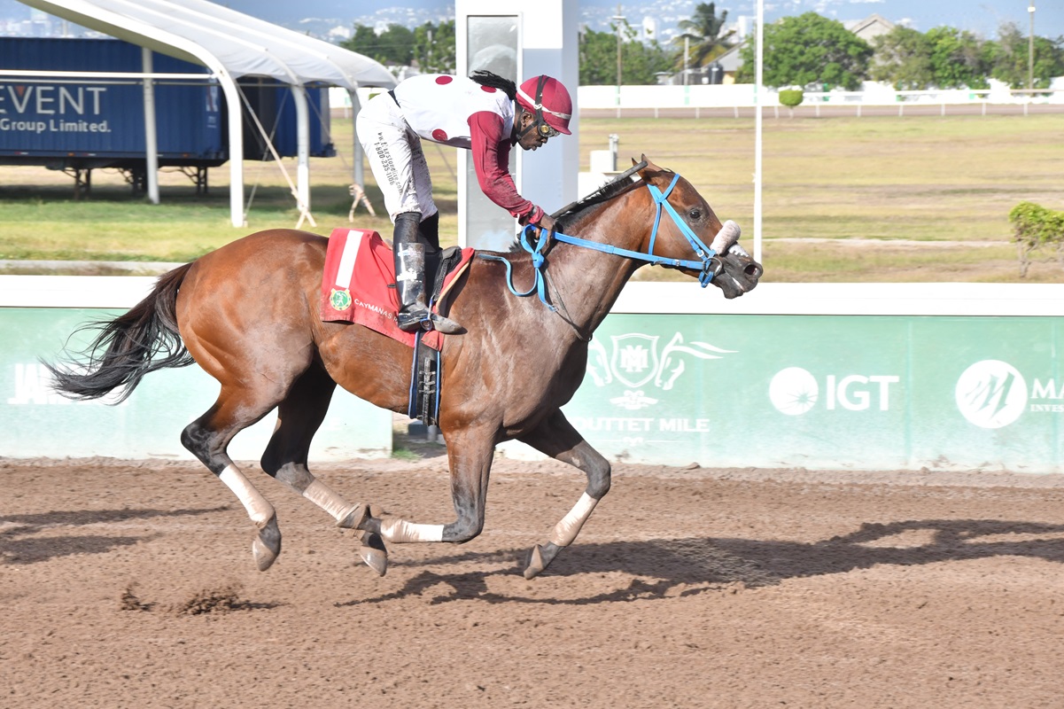 At the Track | Thursday, June 19, 2025 | SportsMax TV - Quickgallopja.com