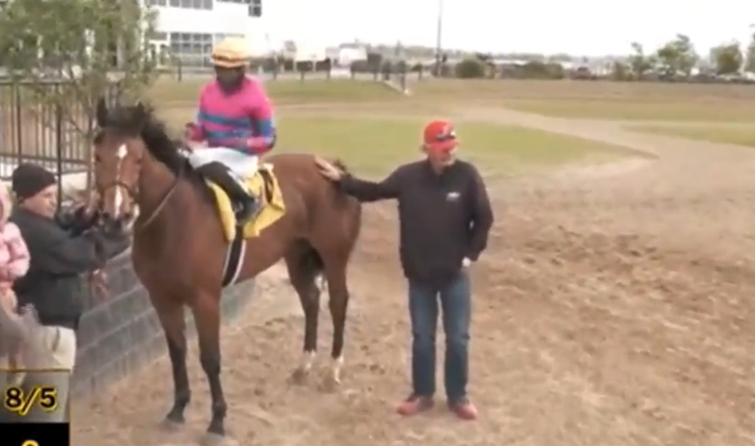 Watch Another Double For Dane Nelson At Century Mile - Quickgallopja.com