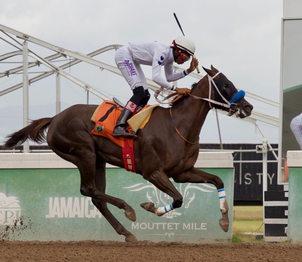 Easy To Watch Replays - Saturday, June 28, 2025 - Quickgallopja.com