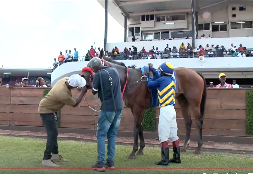 Firecracker Blasts Rivals In Sat, July 26, 2025, 7th - Quickgallopja.com