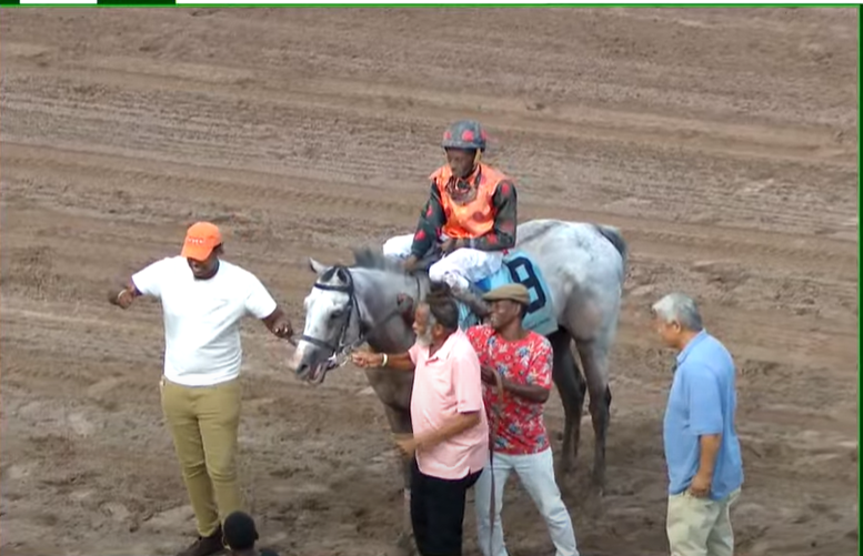 General Chief Takes Sat, July 19, 2025, 6th - Quickgallopja.com