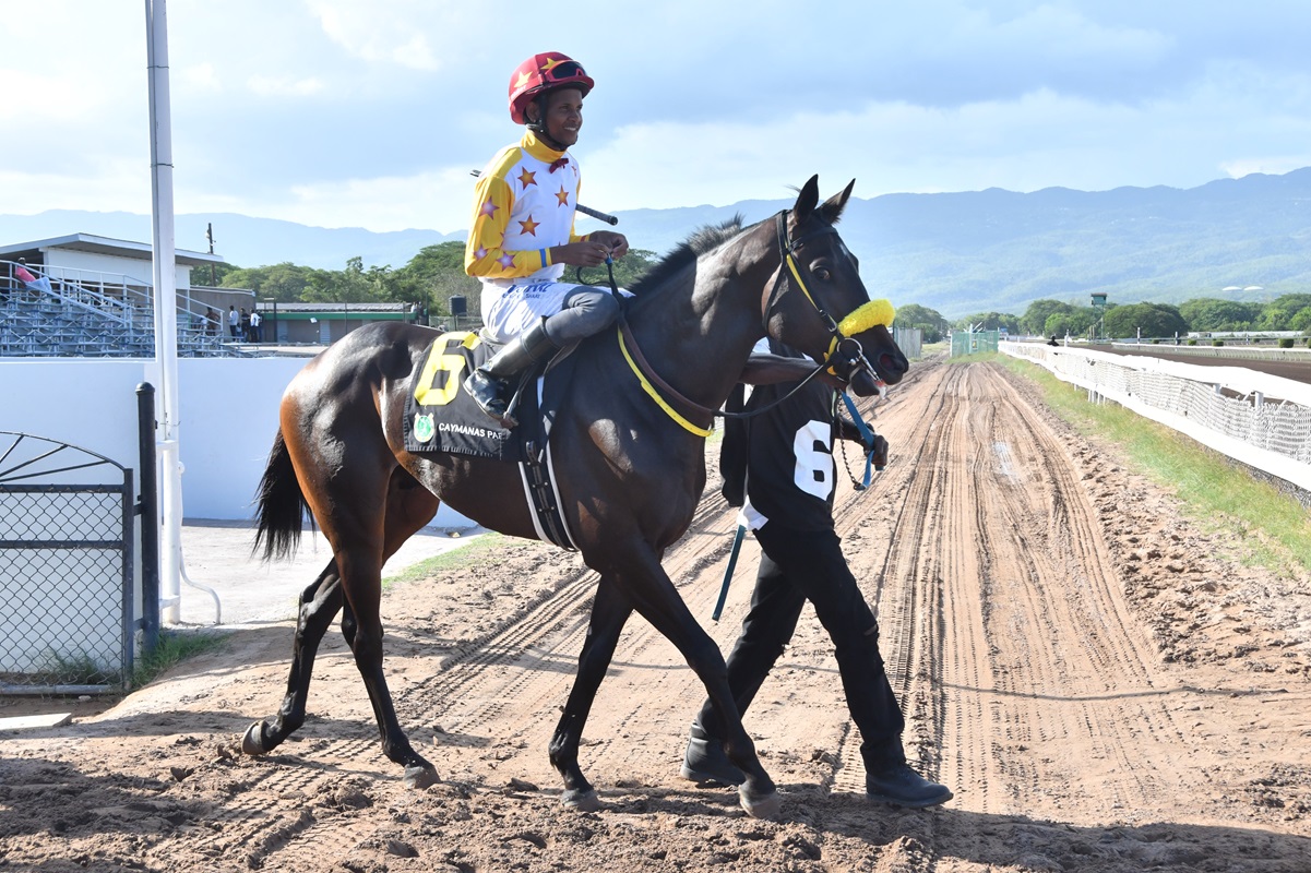Wide Open 3-Year-Old Non-Two On Sat, July 5, 2025 - Quickgallopja.com