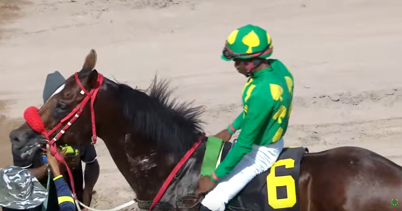 T Brady On The Line In Sun, July 6, 2025, 4th - Quickgallopja.com
