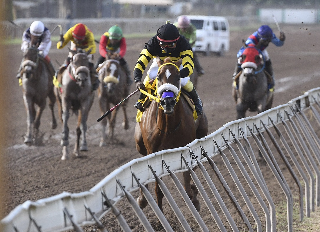 Five Years of Derby Drama – Rewind with The Quick Galloper ...