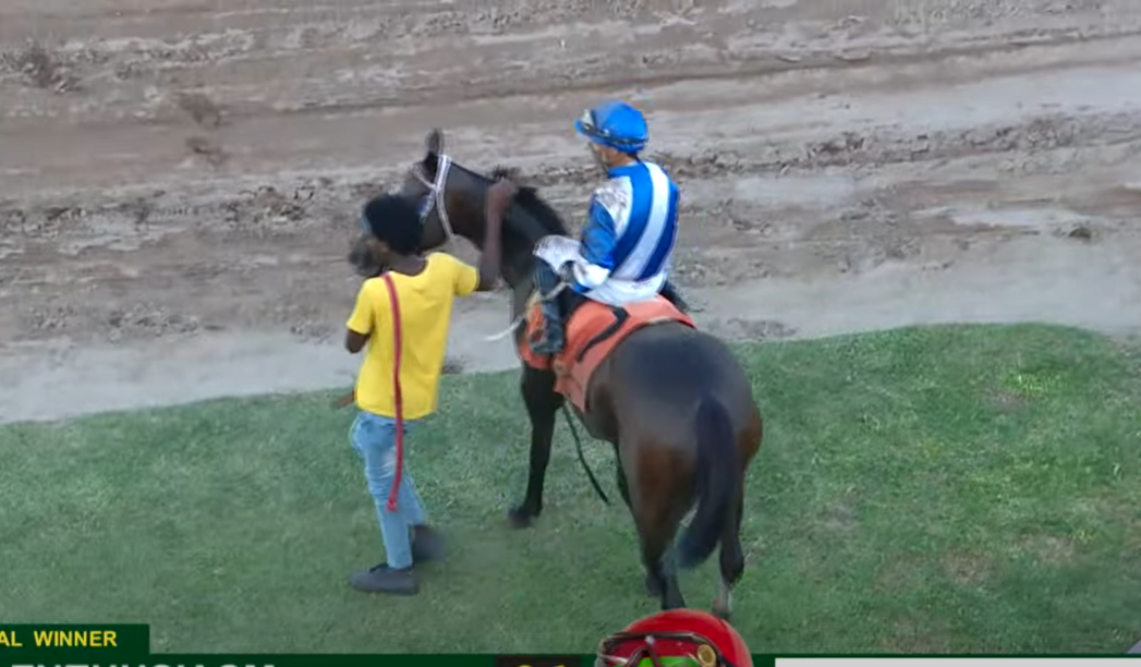 Enthusiasm Makes It 4 Wins For Trainer Anthony Nunes, Sat, Aug 23, 2025 ...