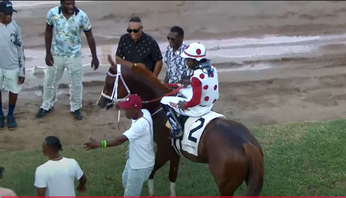 H Two O 500th Win For Jockey Robert Halledeen, Wed, Aug 6, 2025, 10th ...