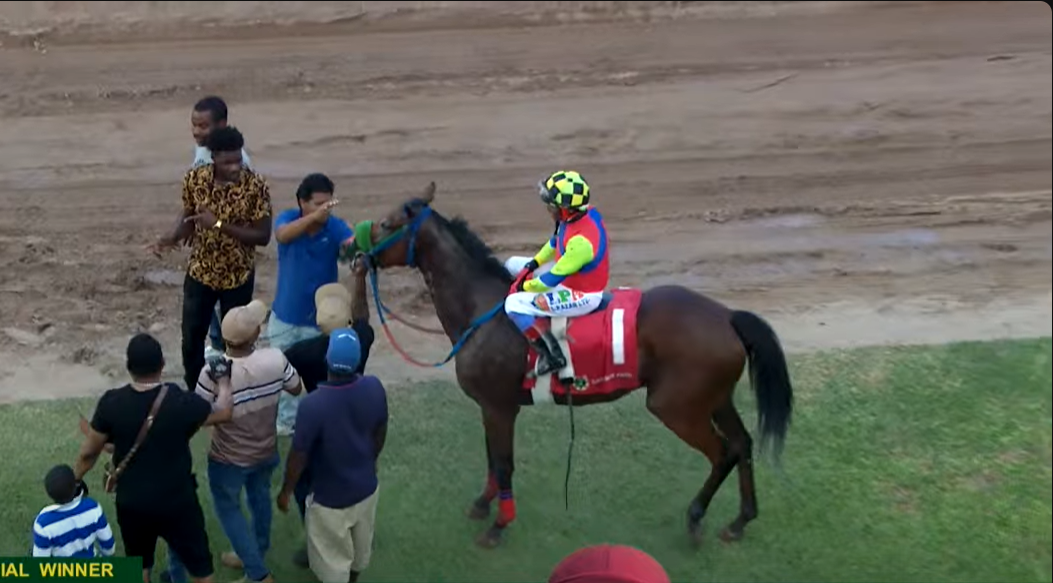 Pretty Brown Ting At 7-2 In Wed, Aug 6, 2025, 7th - Quickgallopja.com