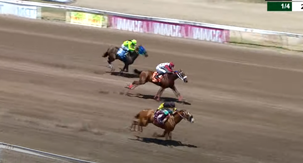 Salute The Don Wins 1st Two-Year-Old Race, Sat, Aug 2, 2025, 2nd ...