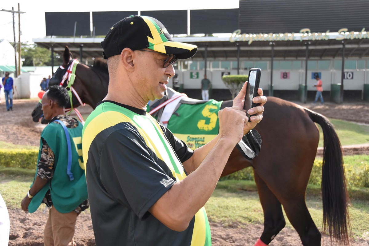 Tribute To Don Wehby Jr By Willie’s Racing Stables - Quickgallopja.com