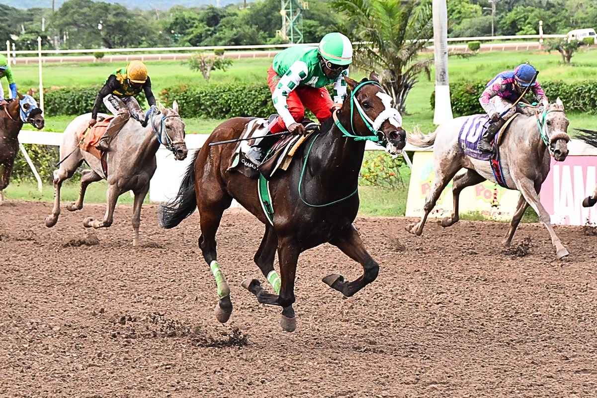 Easy To Watch Replays - Sunday, September 28, 2025 - Quickgallopja.com