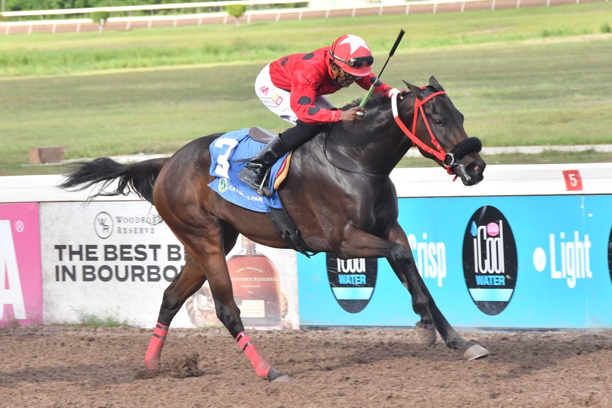 Miss Braeton Gets The Job Done After 10 Starts - Quickgallopja.com