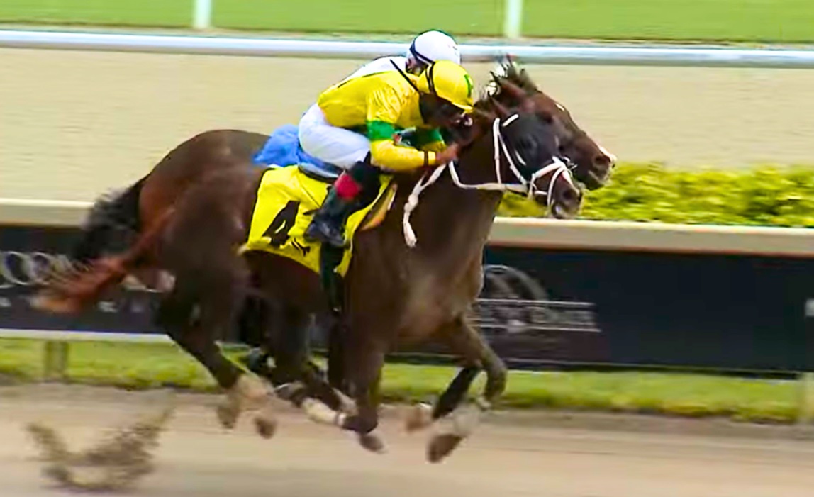 Anthony Thomas Returns A Winner For Rohan Crichton - Quickgallopja.com