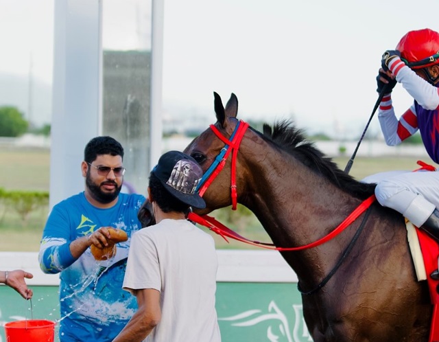 Bootylicious Retires A Winner After Stellar Career - Quickgallopja.com