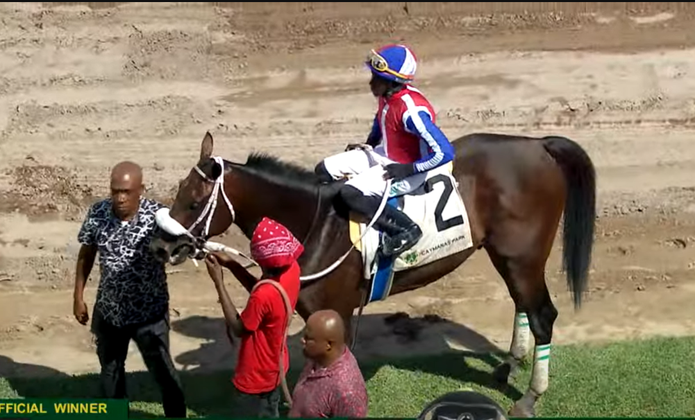 Crown Chaser Gets It Right In Sat, Oct 4, 2025, 3rd - Quickgallopja.com