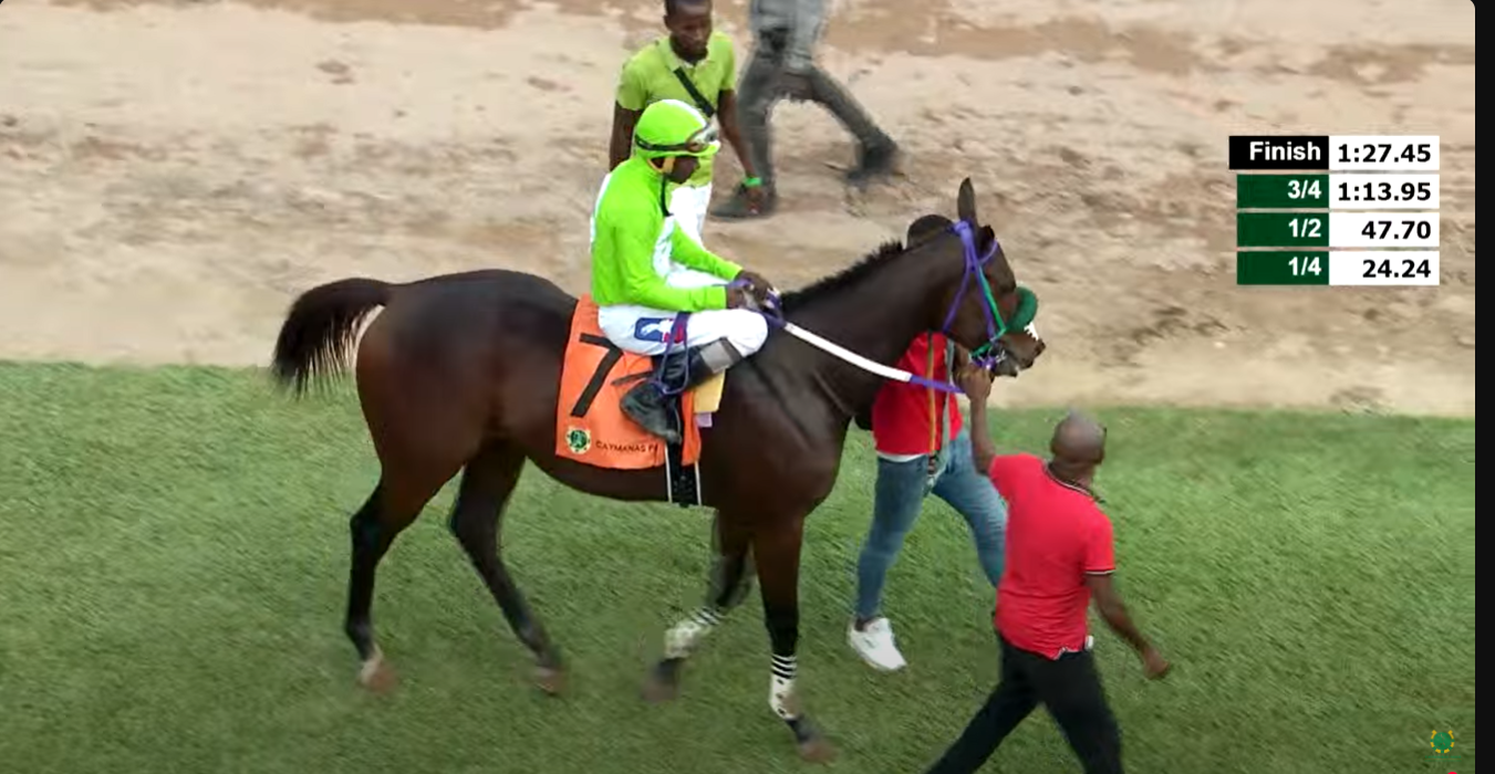 Mack And Rome Wins Sun, Oct 5, 2025, 8th - Quickgallopja.com