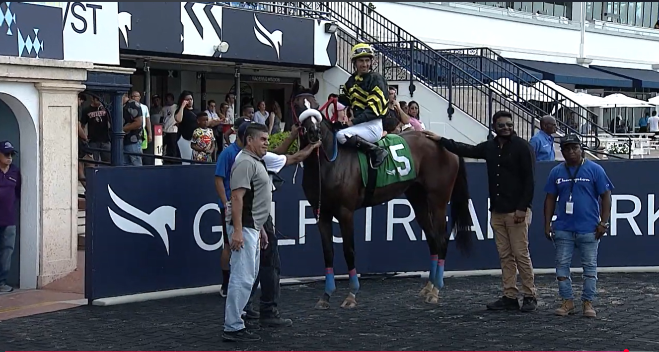 Watch First Timer On Local Track Oro Oro Win At Gulfstream Park ...