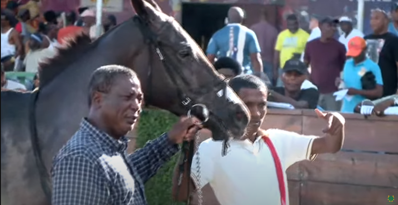 Prince Roy On The Line In Sat, Oct 4, 2025, 6th - Quickgallopja.com