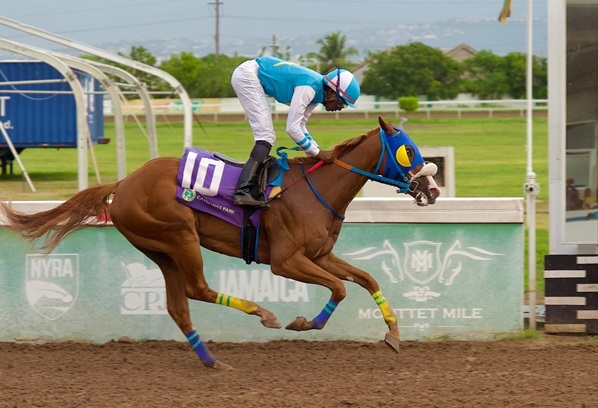 Watch All Finishes – Saturday, October 11, 2025 - Quickgallopja.com