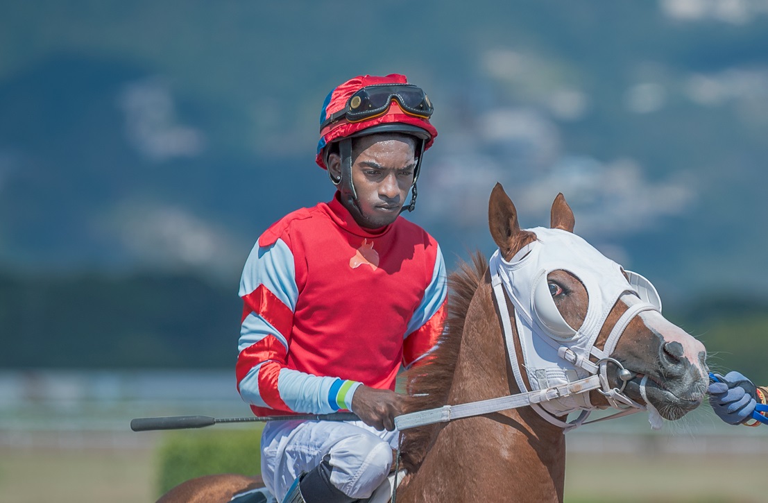 Facts, Figures & Oddities Of The 2025 Mouttet Mile - Quickgallopja.com