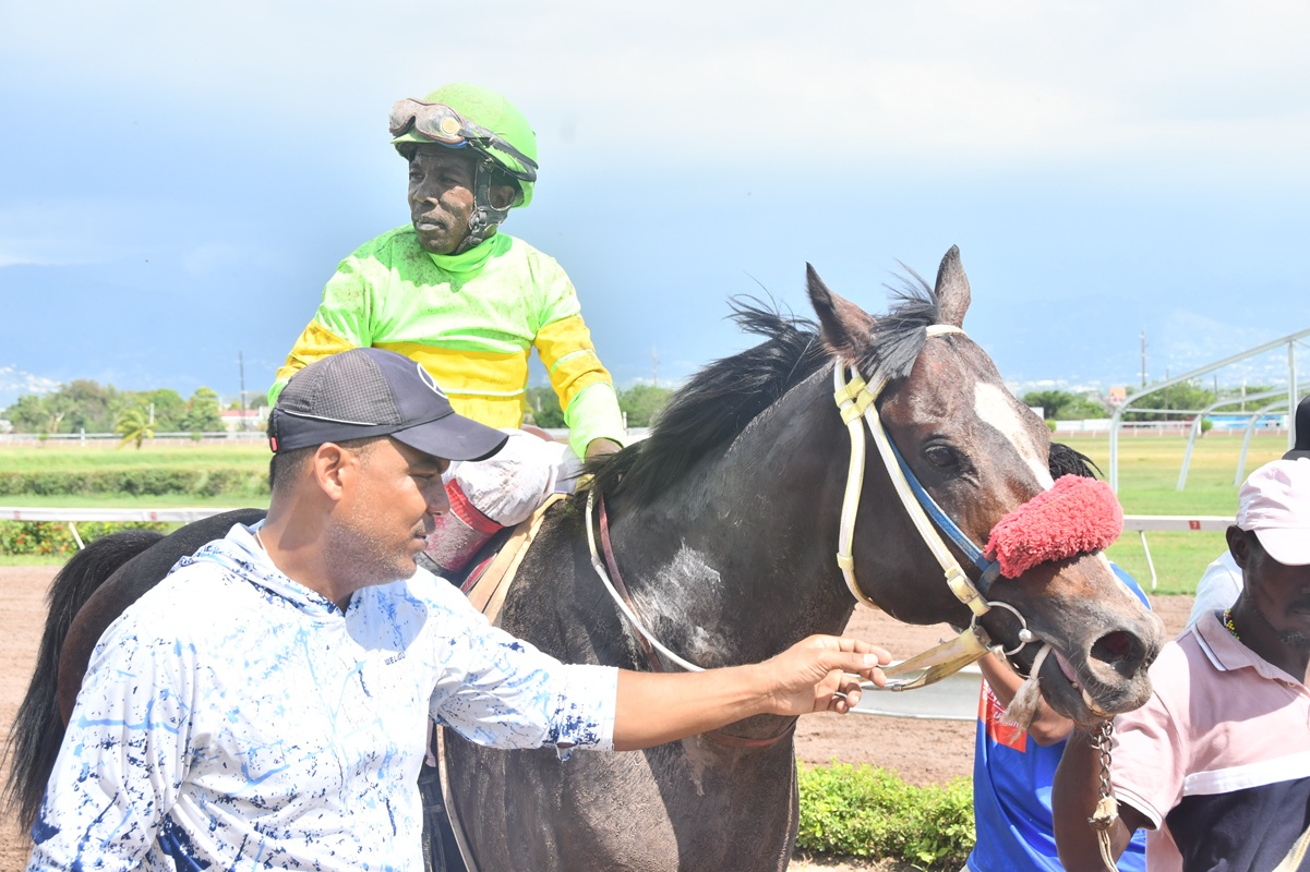 Dissecting Results Of Saturday, November 15, 2025 - Quickgallopja.com