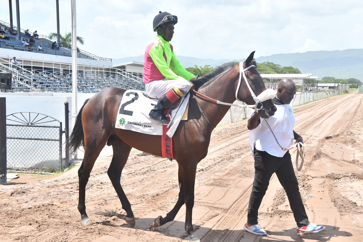 Wide Open Juvenile Call On Sat, Nov 29, 2025 - Quickgallopja.com