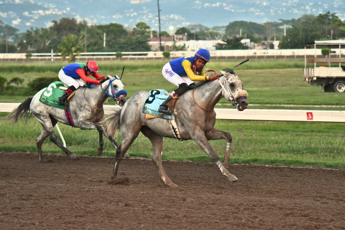 Mouttet Mile Contenders Sharpen Ahead of December 6 Showdown ...