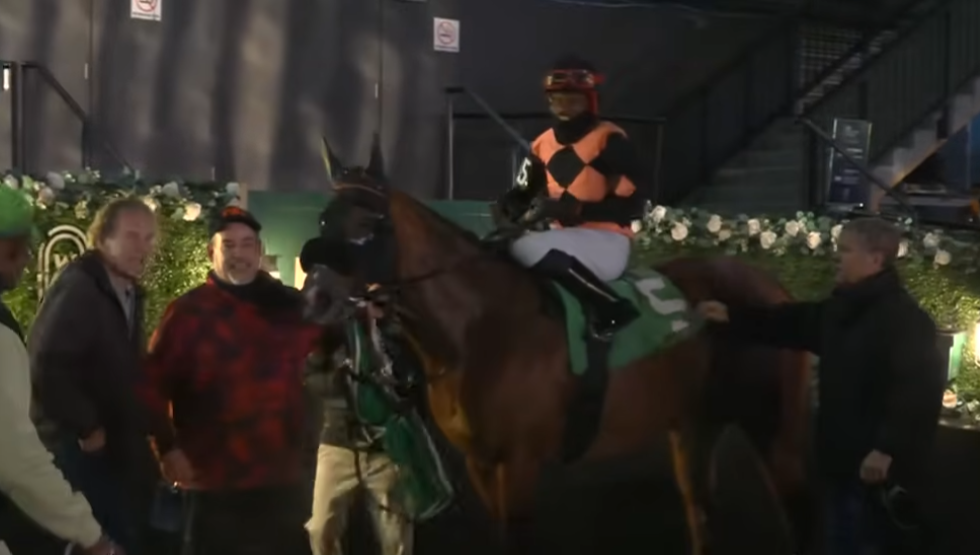 Watch Dane Nelson Ride Another Winner At Woodbine (Canada ...
