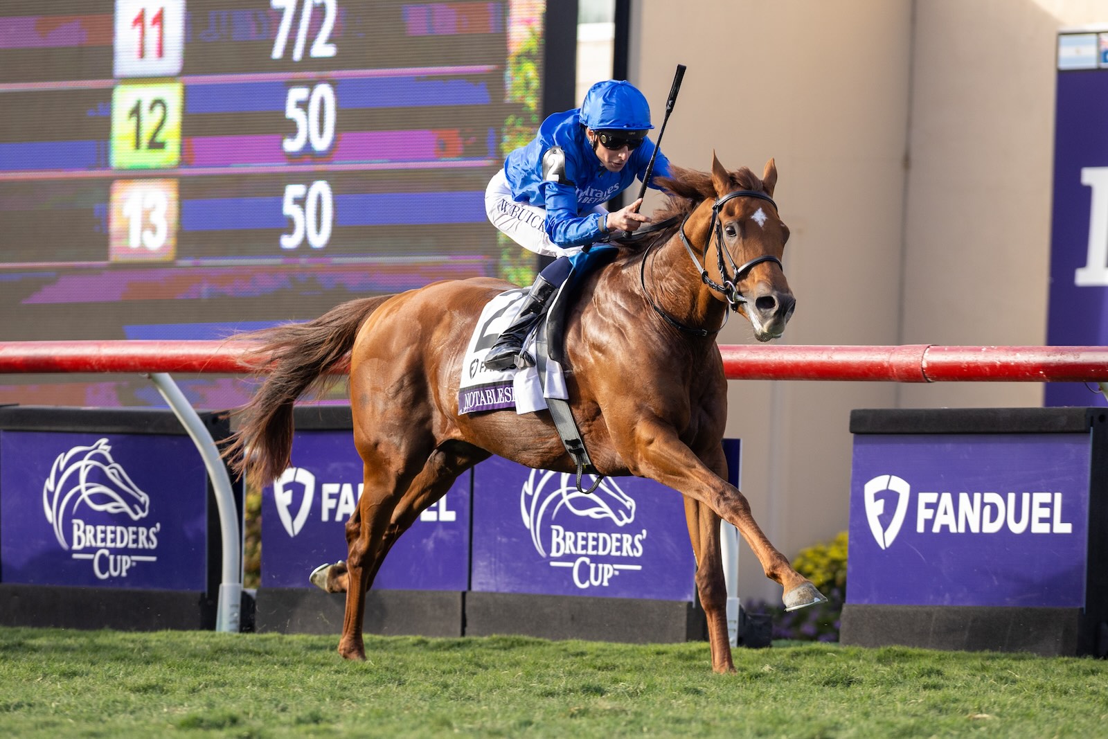 Watch Notable Speech Win Breeders’ Cup Mile - Quickgallopja.com