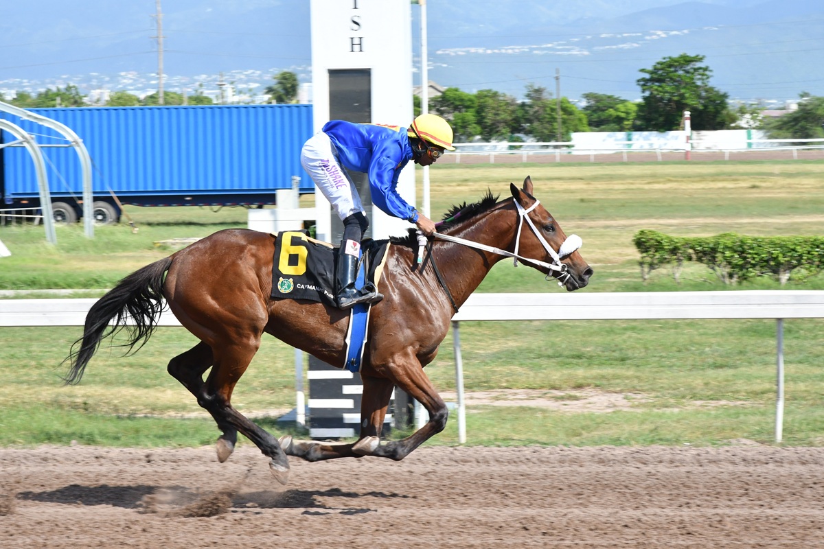 Tigray Express - Eight Wins From Nine Starts In 2025 - Quickgallopja.com