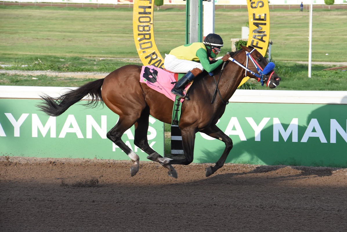 Past Winners – Chris Armond Memorial Sprint - Quickgallopja.com