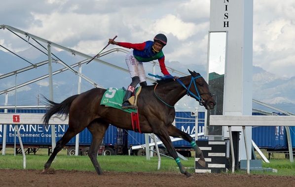 Last Wins By Horses 9-15 In 2025 Mouttet Mile - Quickgallopja.com