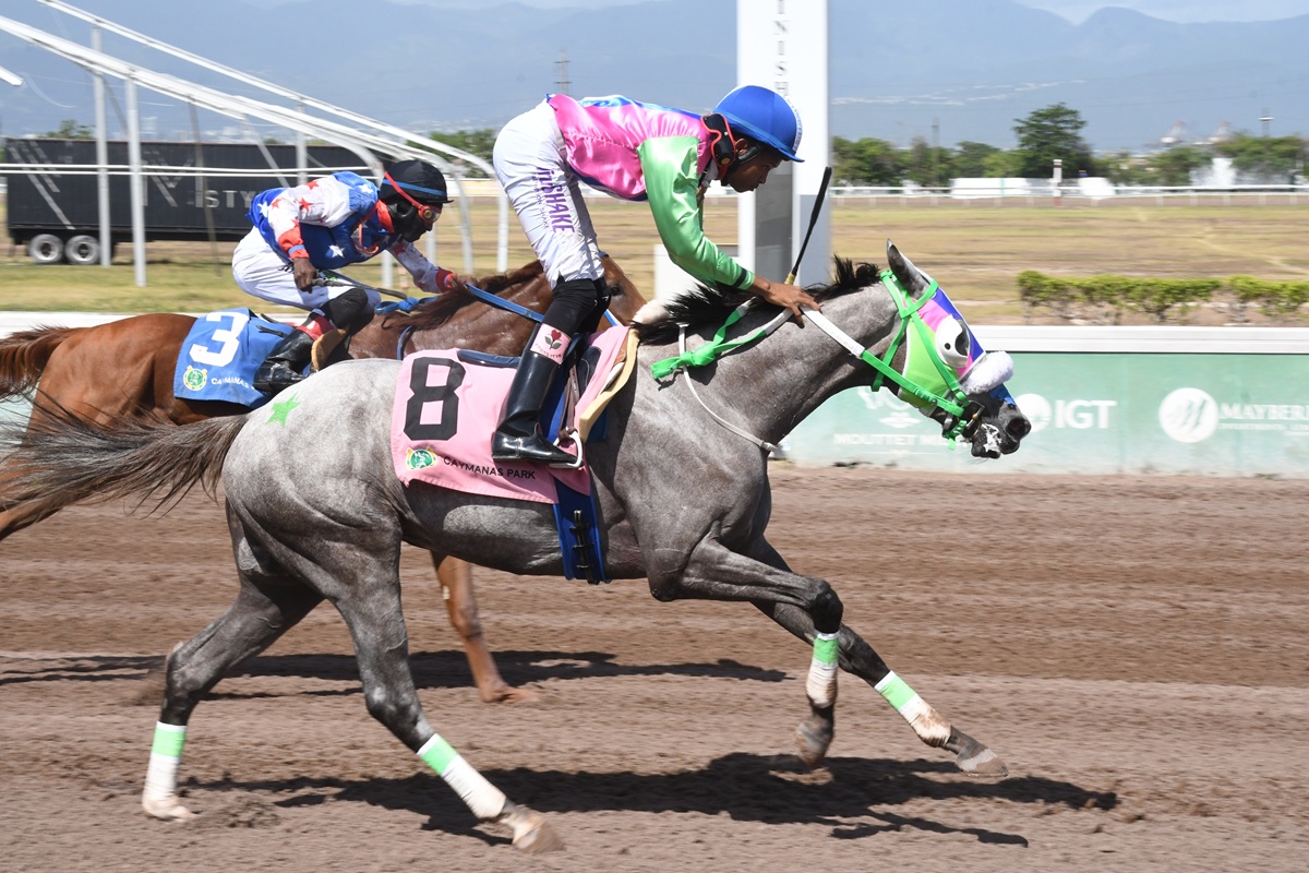 Going With Midnight Runner In New Year’s Day Trophy - Quickgallopja.com