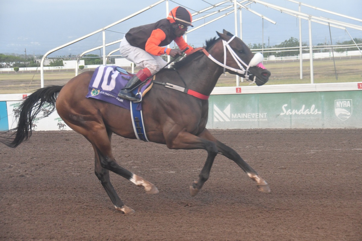 Bruceontheloose Sprint: Revisiting The Class Of 2024 - Quickgallopja.com