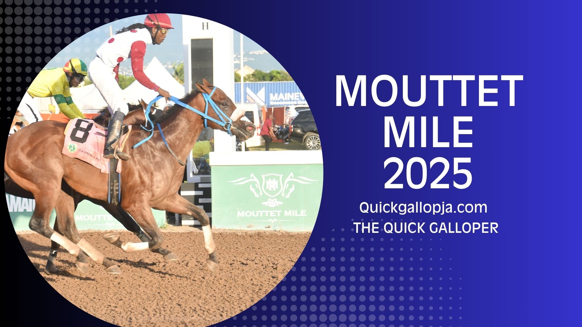2025 Mouttet Mile – Runner by Runner Preview - Quickgallopja.com