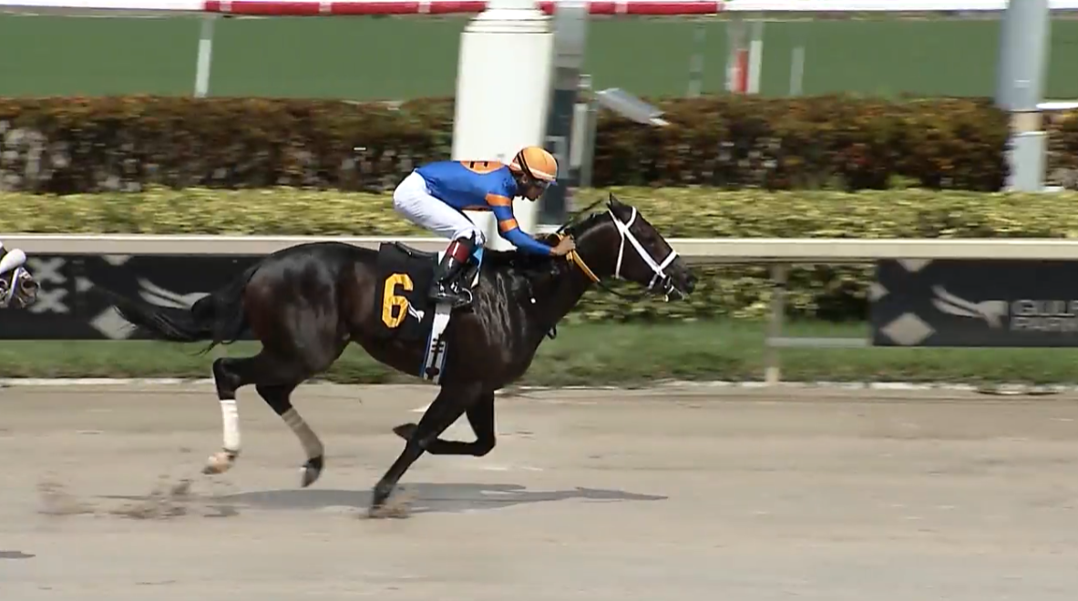 Last Wins By Horses 1-8 In 2025 Mouttet Mile - Quickgallopja.com