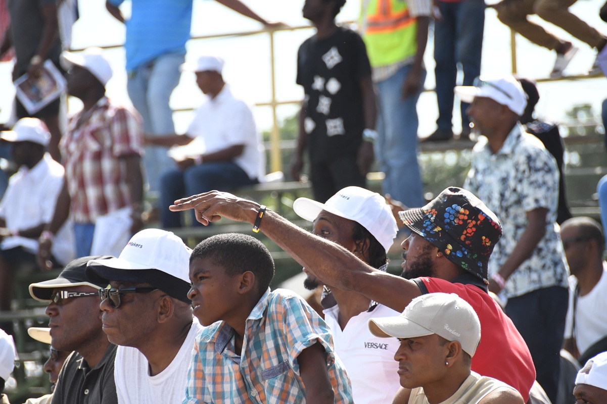 Racing Fans Give Their Views On 2025 Mouttet Mile - Quickgallopja.com