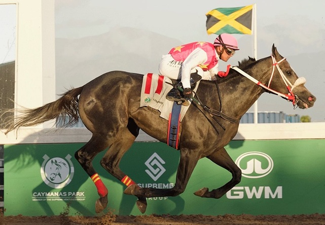 POST RACE INTERVIEWS: Philip Feanny, Javier Castellano After Mouttet ...