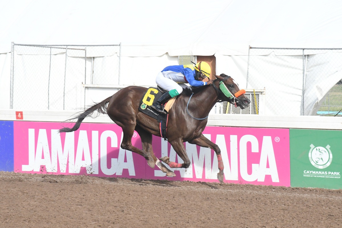 Dissecting Results – Saturday, January 3, 2026 - Quickgallopja.com