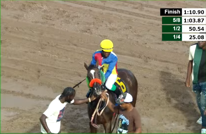 Lady Katghara Releases Maiden Tag In Sat, Jan 3, 2026, 5th ...