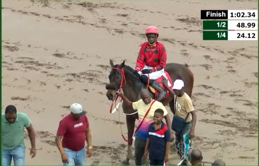 Miss Braeton Opens, Sat, Jan 3, 2026, At 6-1 - Quickgallopja.com