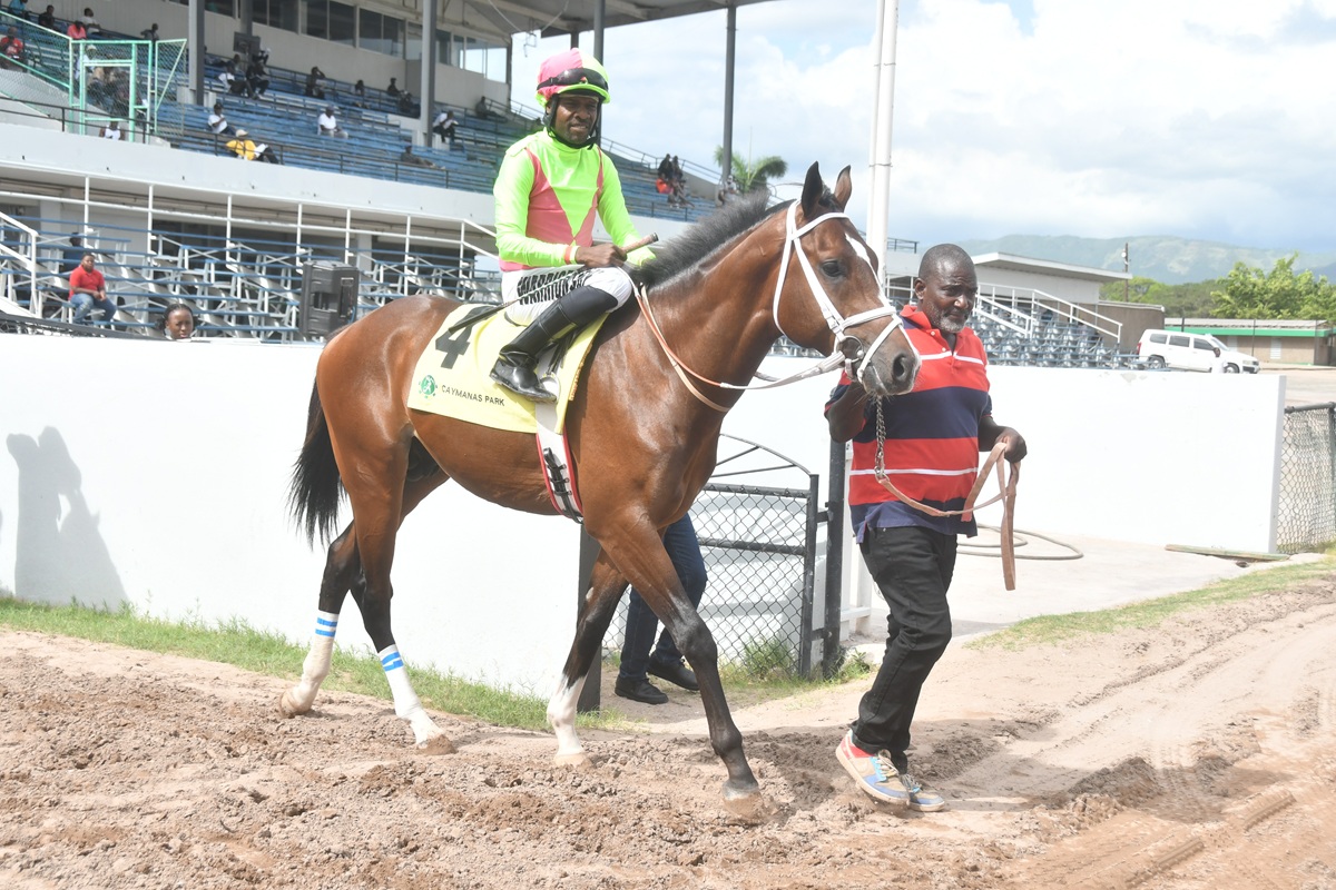 Mo Pai Given The Edge In Three-Year-Old Maiden Call - Quickgallopja.com