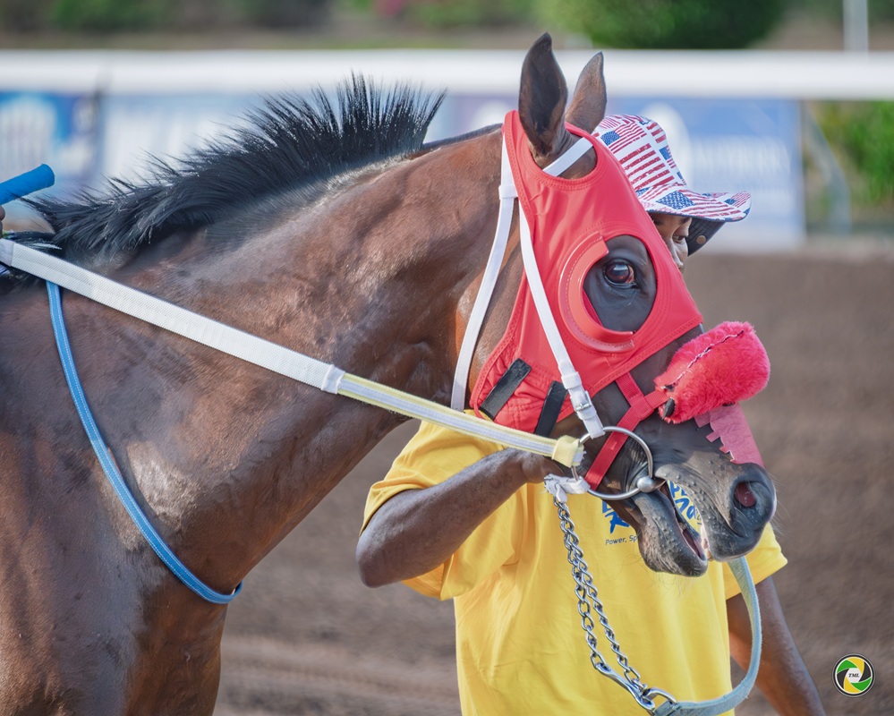 Close Contest Expected In Eileen Cliggott Memorial Trophy ...