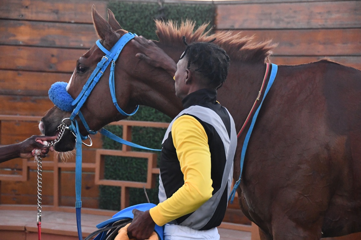 LANCE AT THE TRACK (New Year's Day Edition) January 1, 2026 ...
