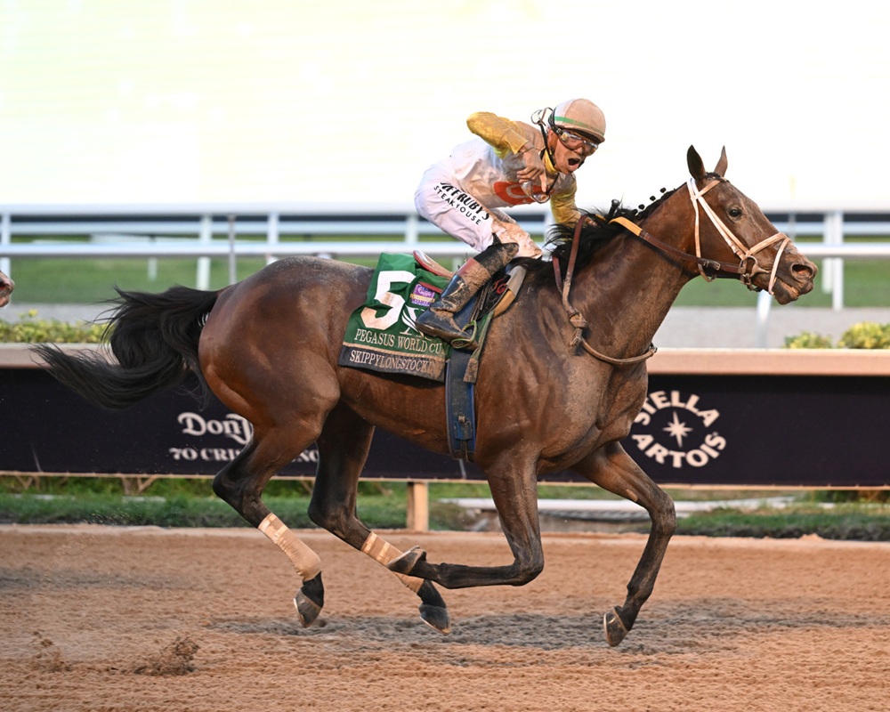 Watch Skippylongstocking, White Abarrio Seal 1-2 Finish For Trainer ...