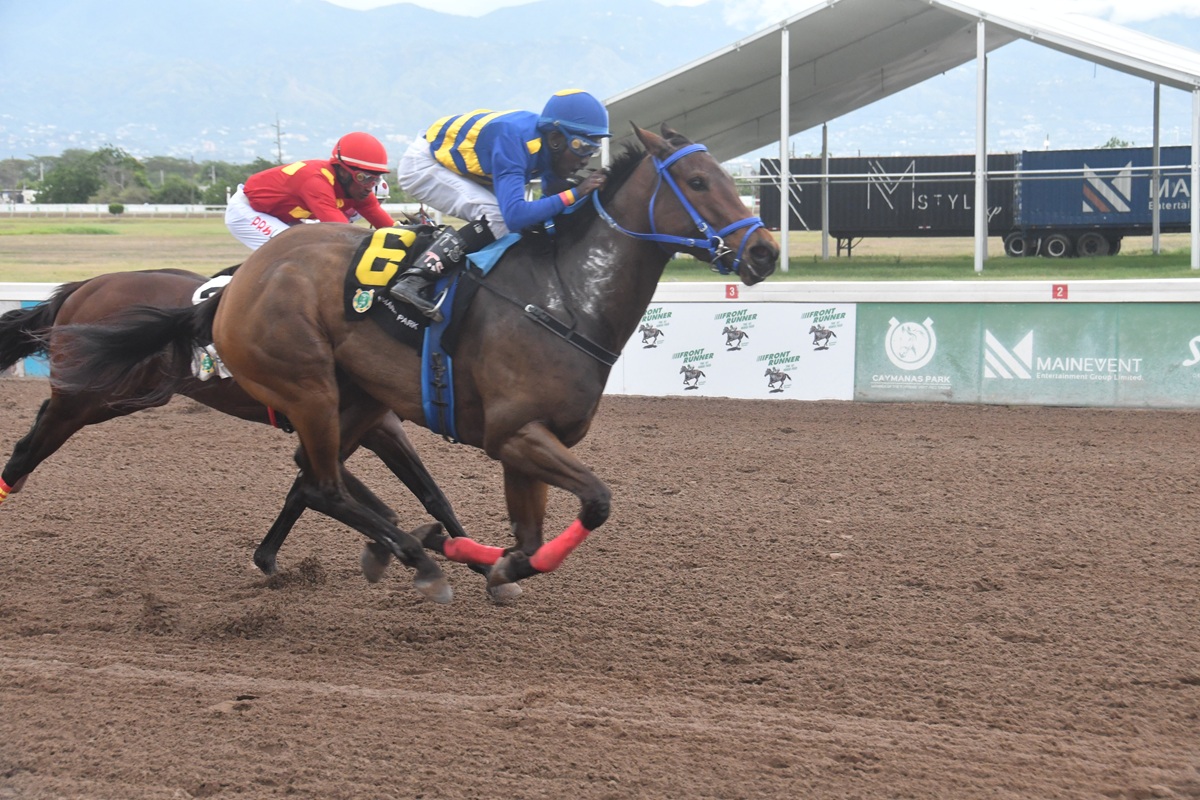 Expect Some ‘Bubbling’ In George HoSang Trophy - Quickgallopja.com