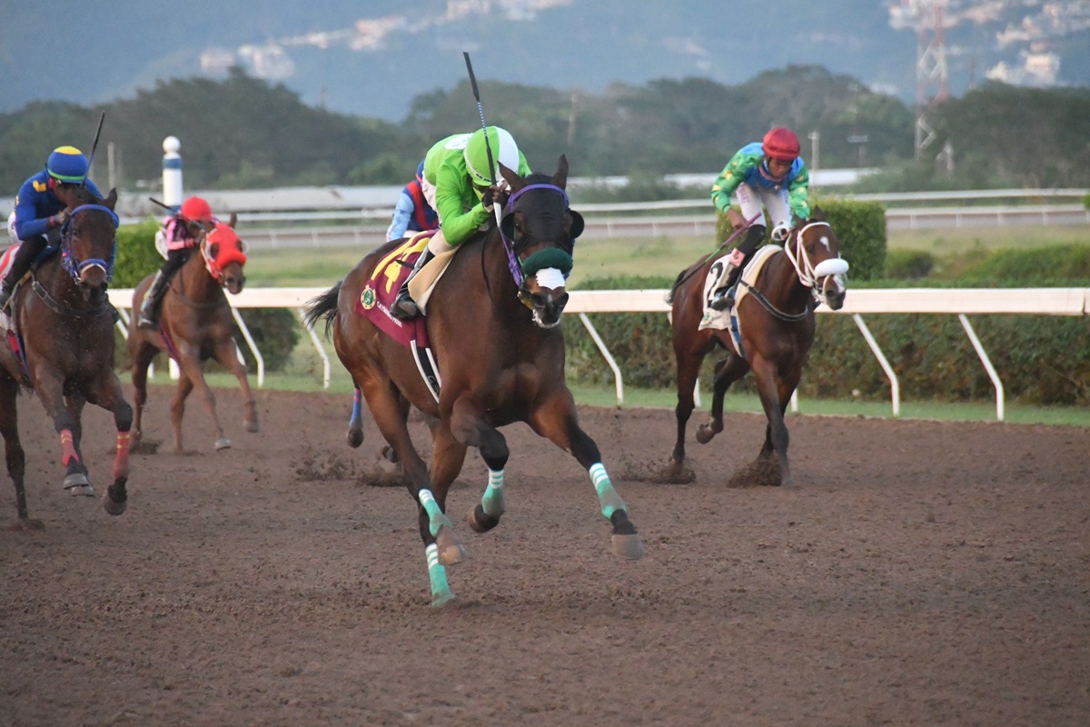 LANCE At The Track: Thursday, Feb 12, 202 - Quickgallopja.com