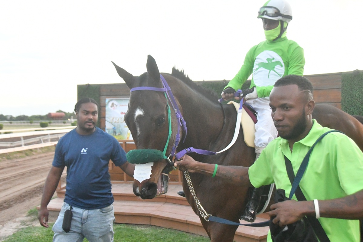 Mack And Rome Moves To Open Allowance After Overnight Success ...
