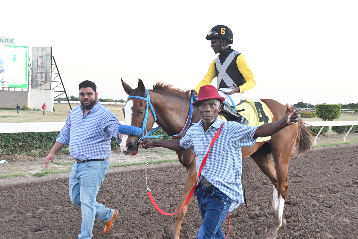 Peter-John Parsard Named Most Improved Trainer Of 2025 - Quickgallopja.com