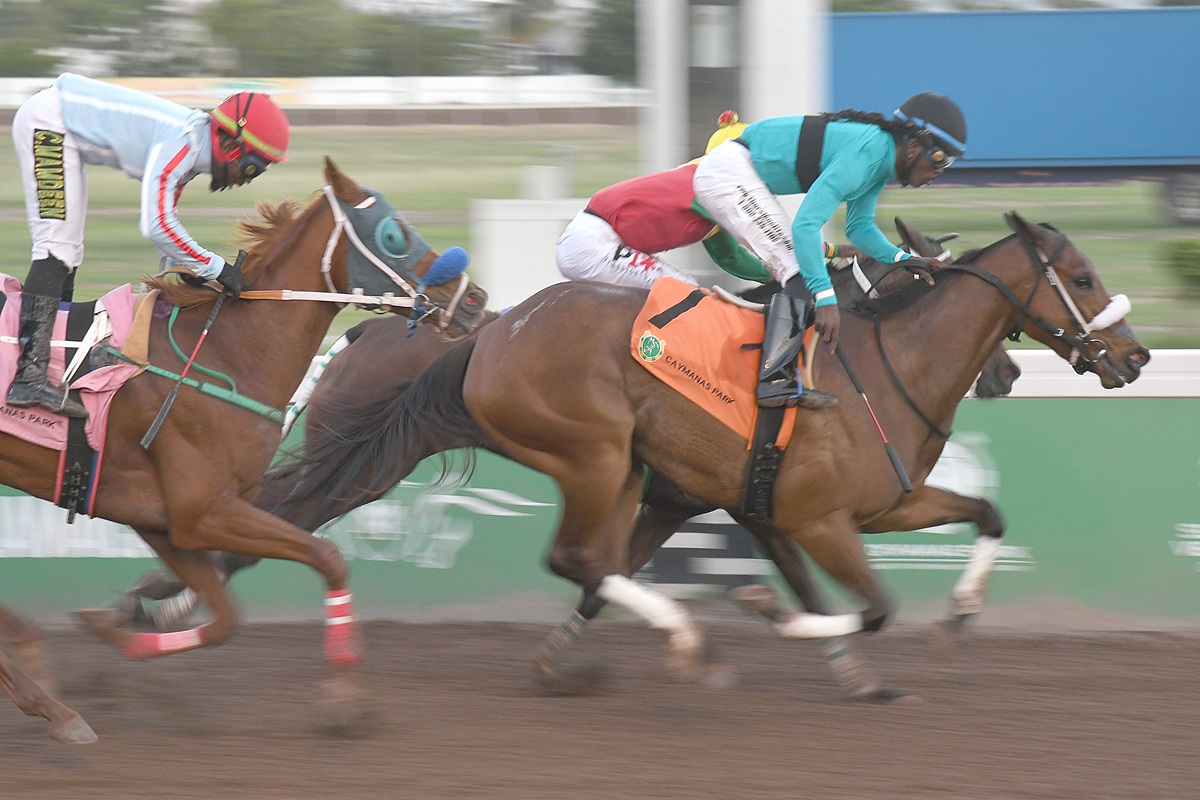 Watch All Finishes – Saturday, January 31, 2026 - Quickgallopja.com